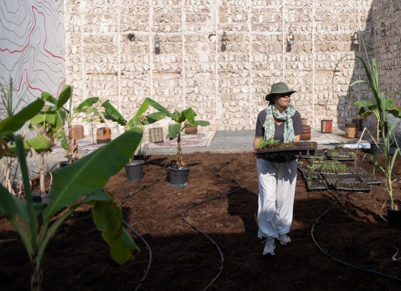 Annalee Davis Plants Healing Garden for Sharjah Biennale 2023 – Arttrado.de